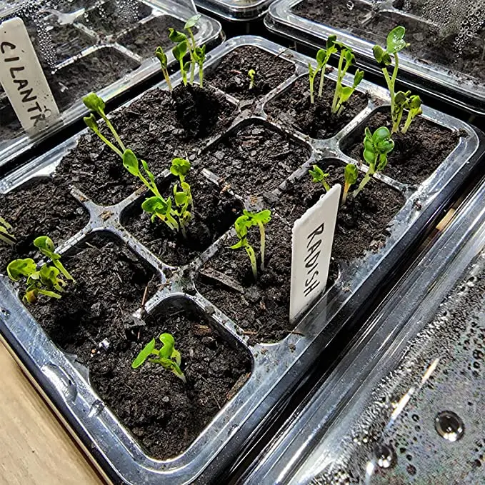 Horticulture Clone Tray Germination Grow Tray Seedling Box Hydroponic ...