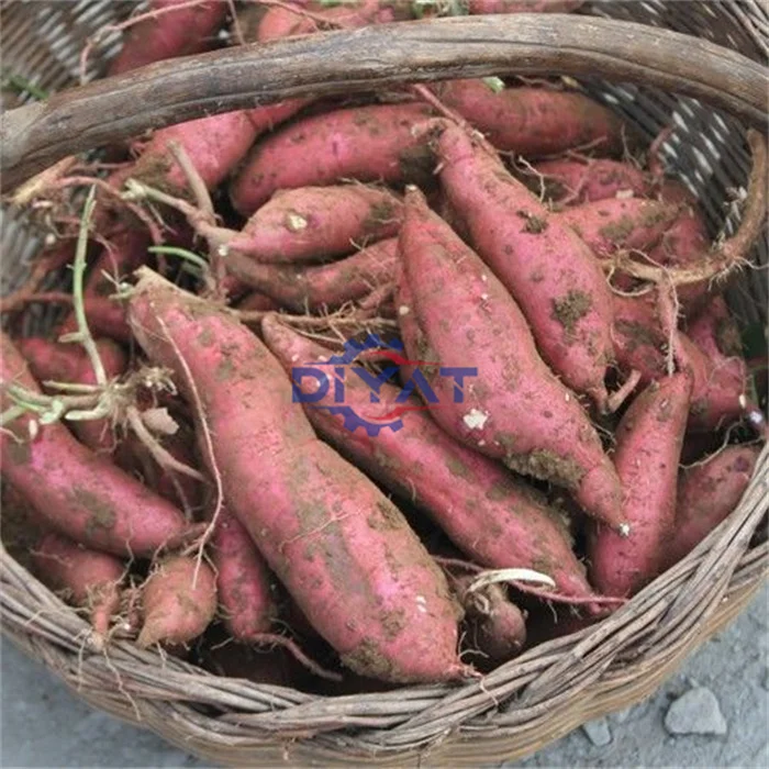 High Efficiency Ginger Onion/potato Combine Harvester Carrot/garlic ...