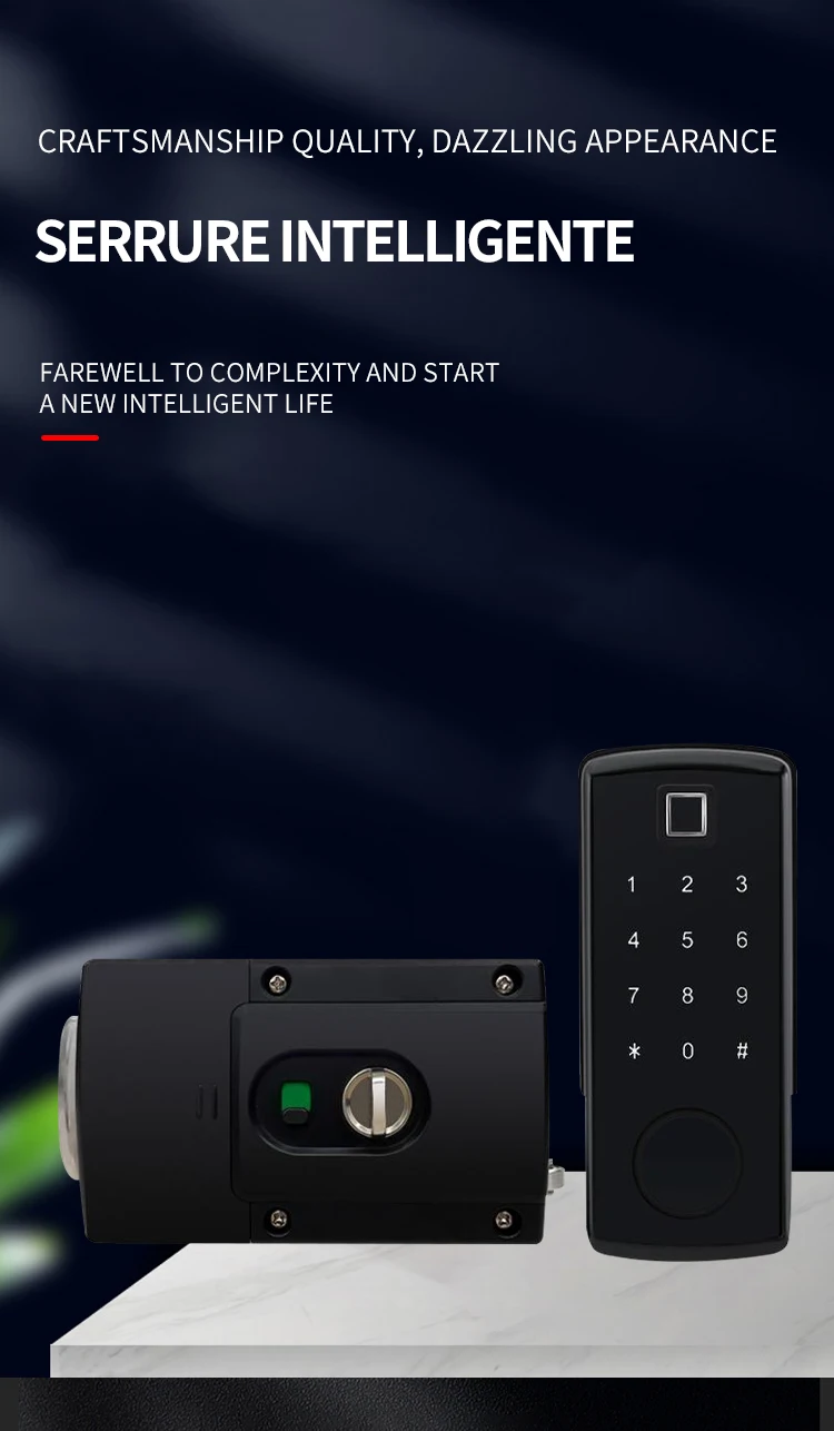 Aidmi Recognition Fingerprint Smart Door Lock Digital Tuya App Wifi ...