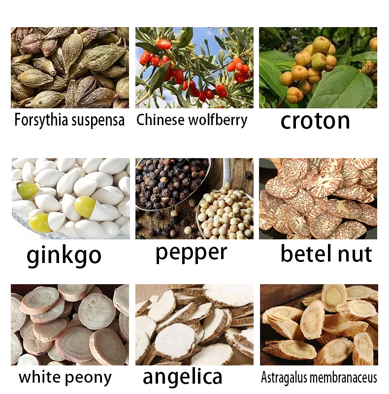 Scaphium Scaphigerum Round Fruit Dried Fruits Excellent Quality High ...