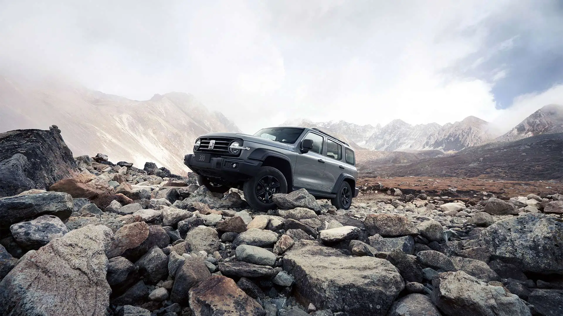 Cheap 2024 Gwn Tank 300 New Suv 4wd 2.0t 5 Seats Gasoline Cars 2023 ...