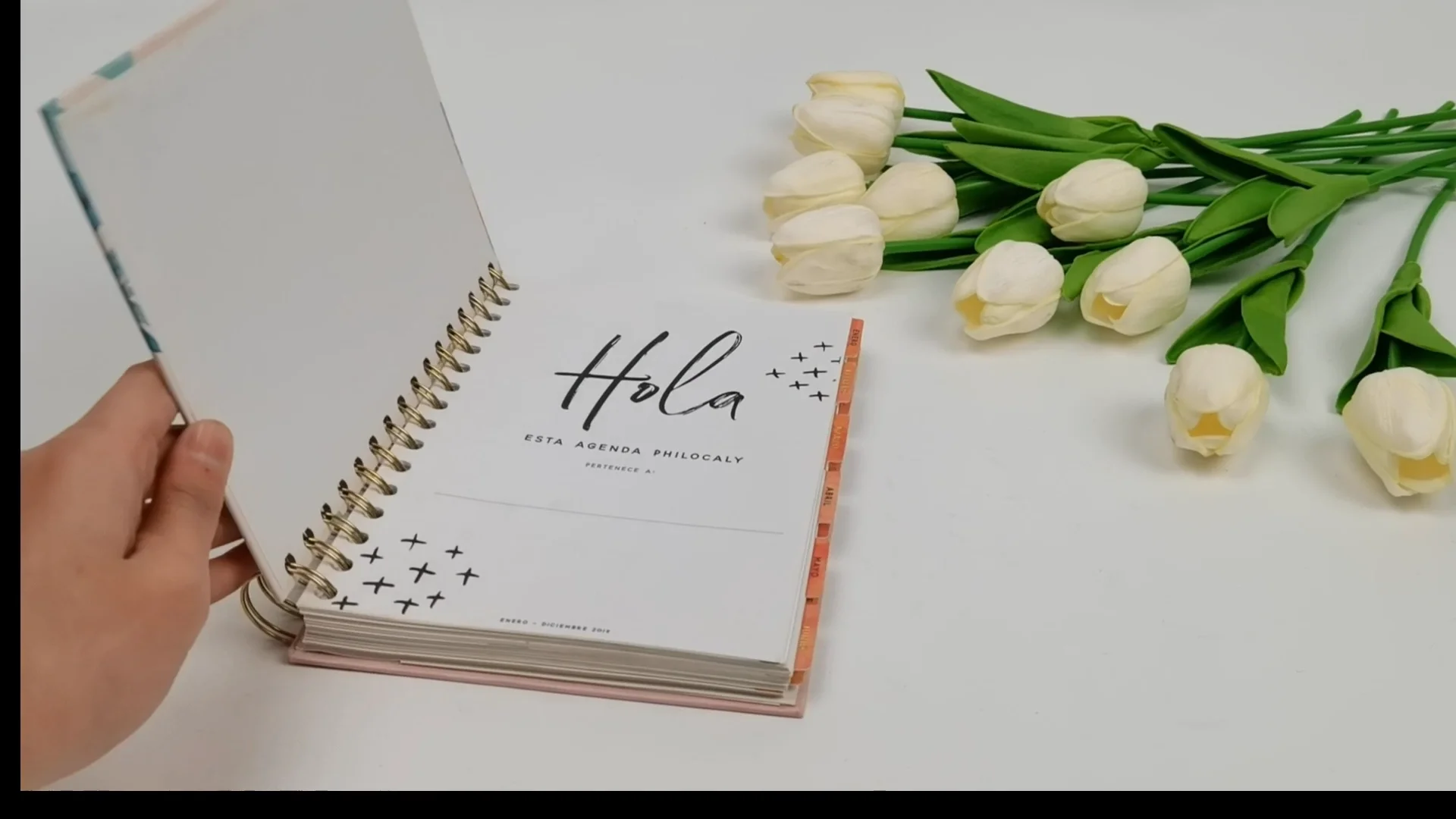 Wholesale 2022 Daily Planner New Design 365 Days Daily Diary Budget ...