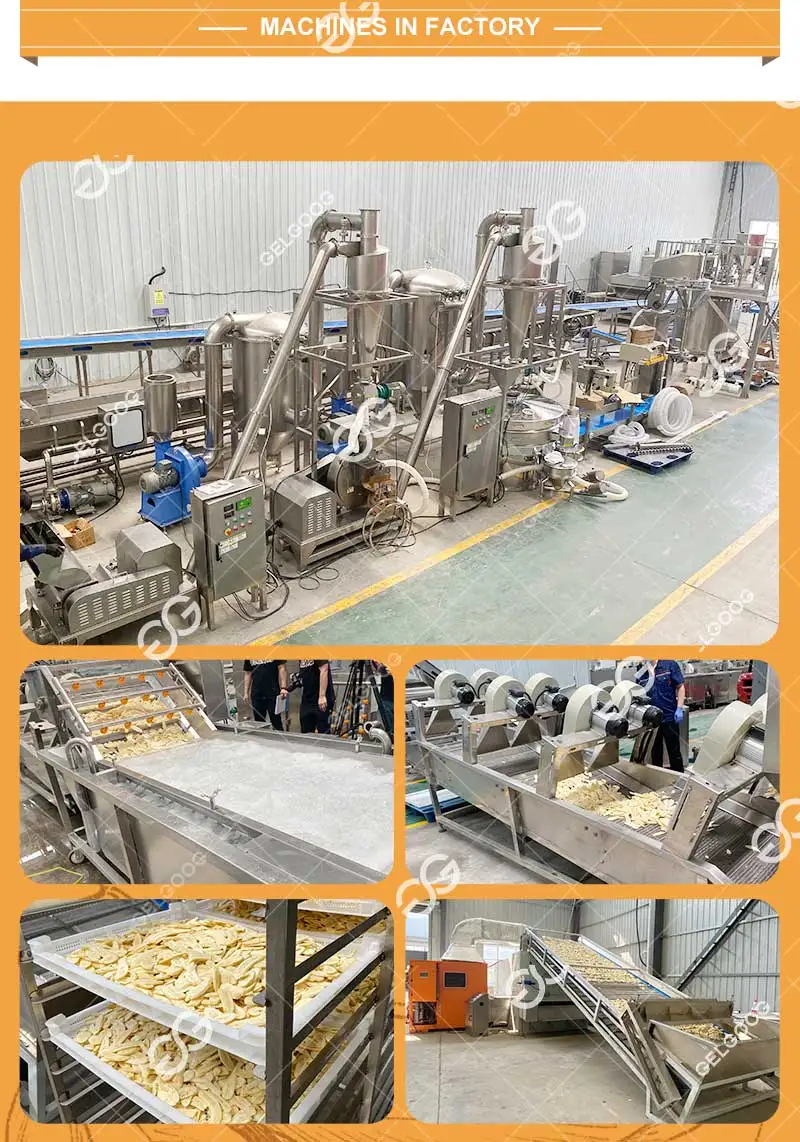 Plantain and Cassava Flour Industrial Machine Banana Slice Powder ...