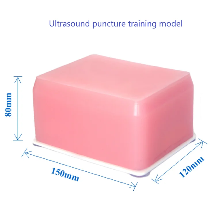 Ultrasound Puncture Training Model for Medical Education - OEM Available