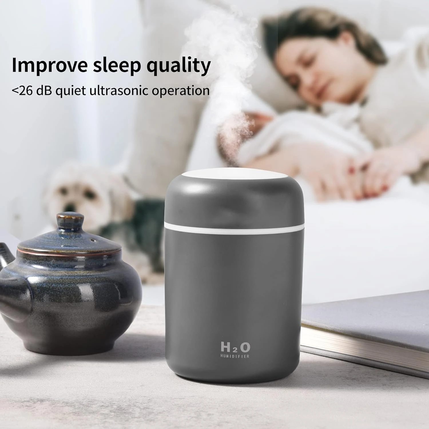 Sale Outdoor Windmill Humidifier - Hotel & Portable Use