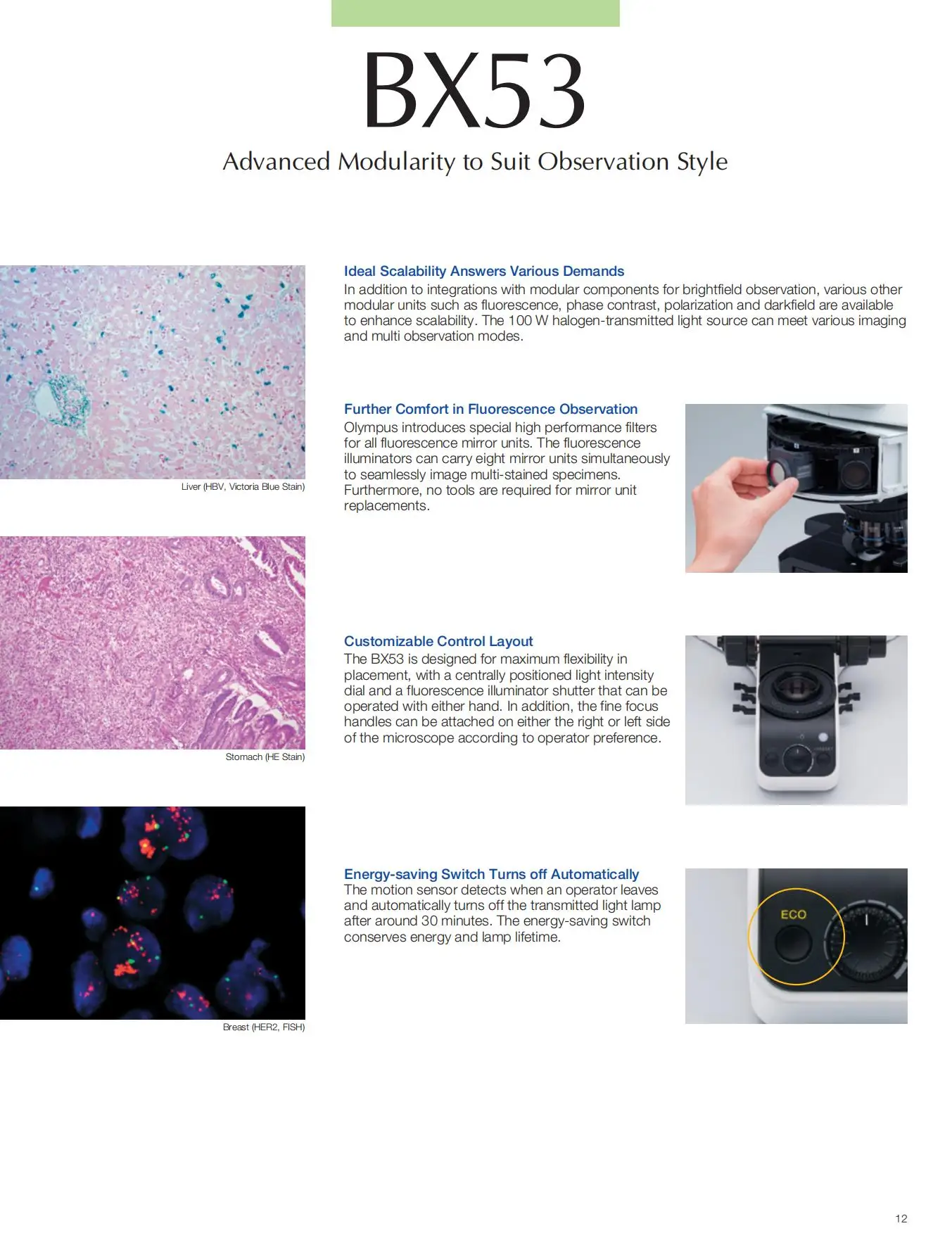 Wholesale Price Custom Microscope Binocular Microscope Bx53 Olympus - Buy Trinocular bx53 ...