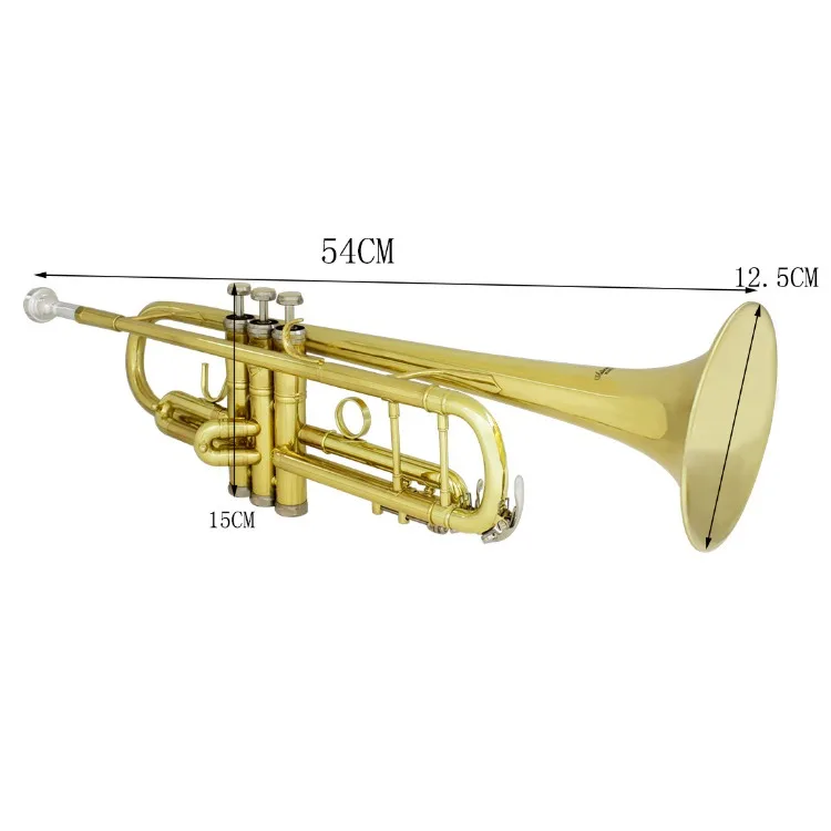 Trumpet Bb Professional Brass Instrument with Accessories