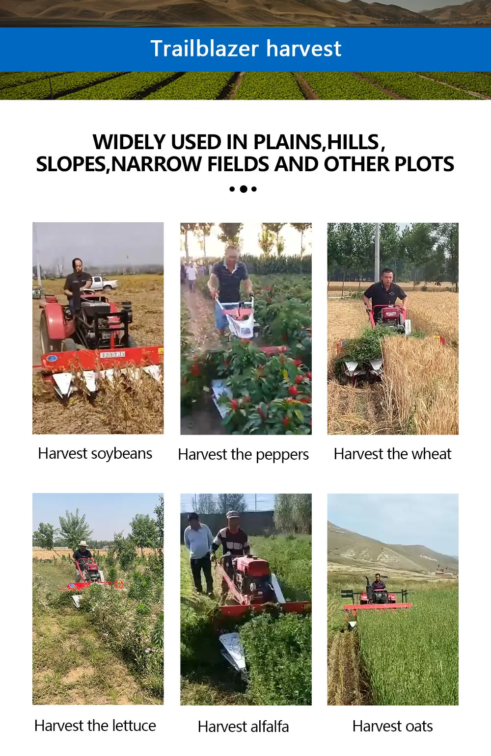 Mini Reaper/combine Harvester New Design Paddy Rice Wheat Reaper ...