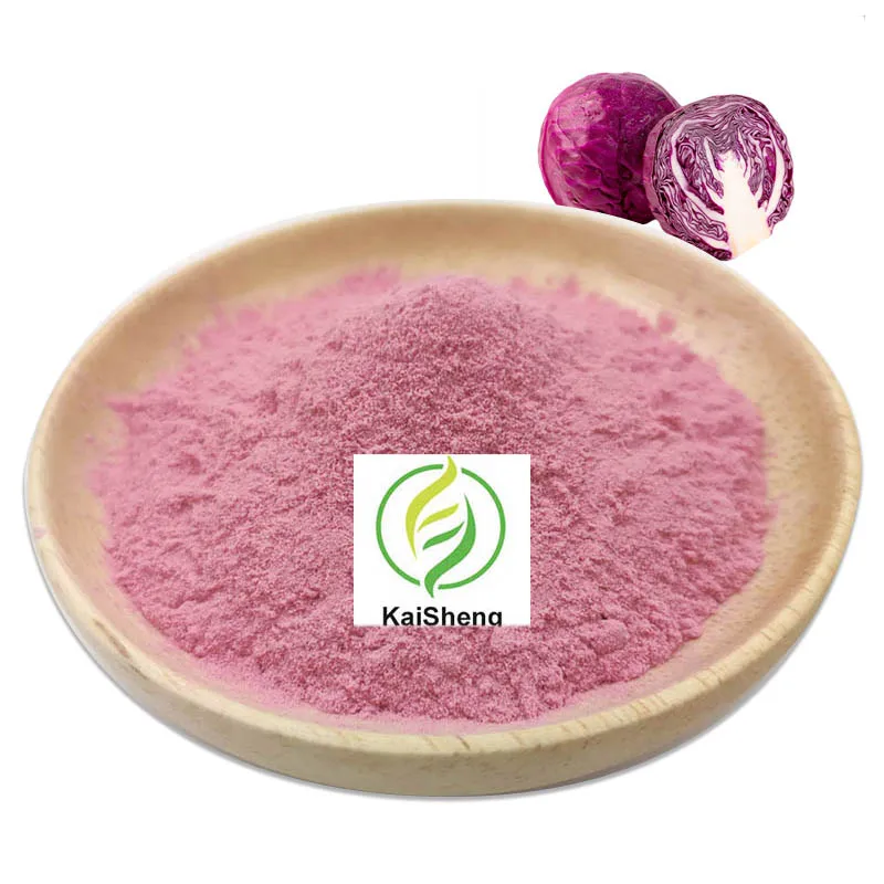 Wholesale Bulk Purple Cabbage Extract Powder Purple Cabbage Powder ...