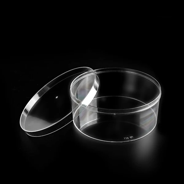 PS Square Tiramisu Cake - Transparent Storage Containers