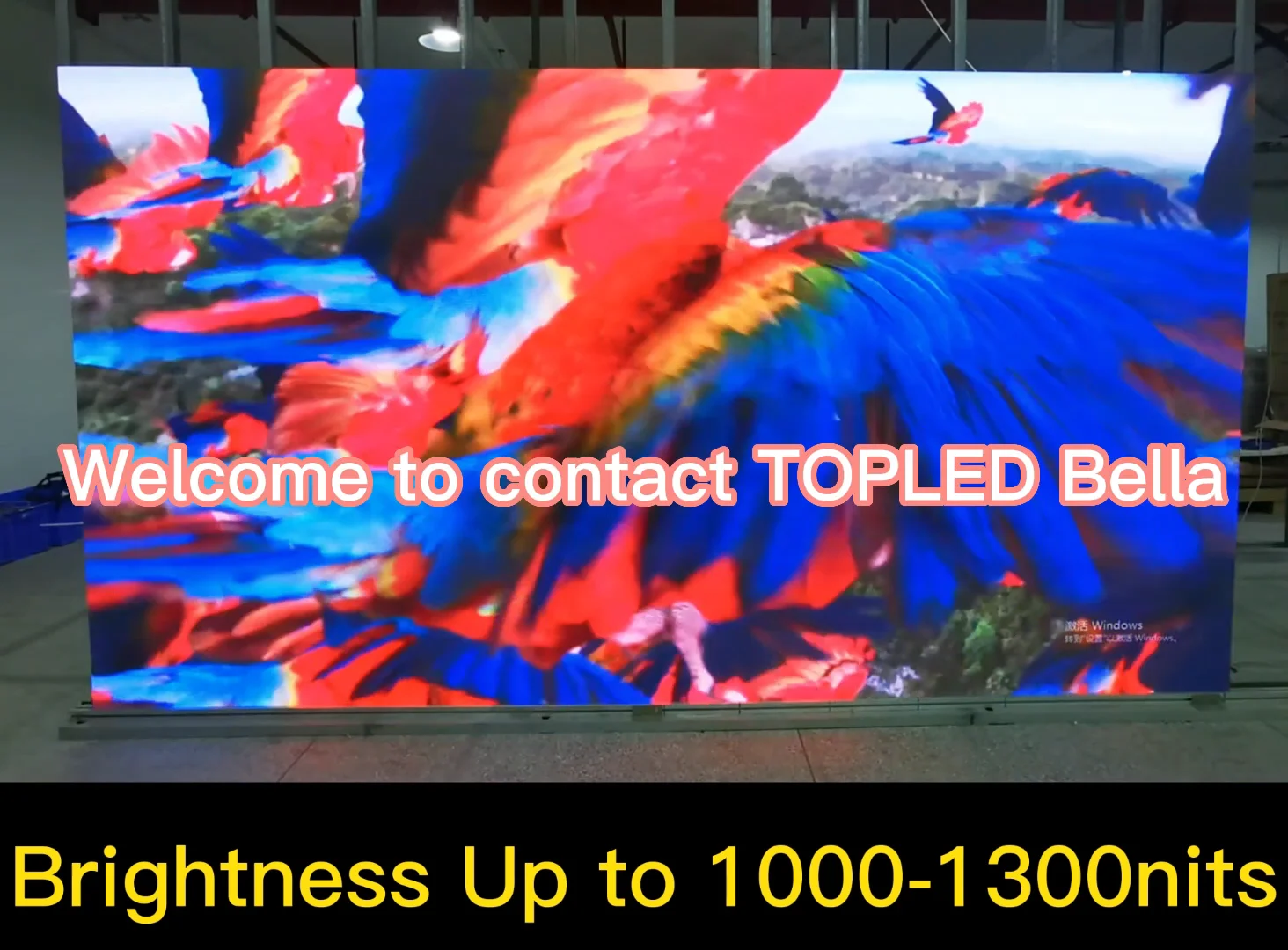 Super Thin High Brightness Stage Portable Led Video Wall Display P2.5 ...