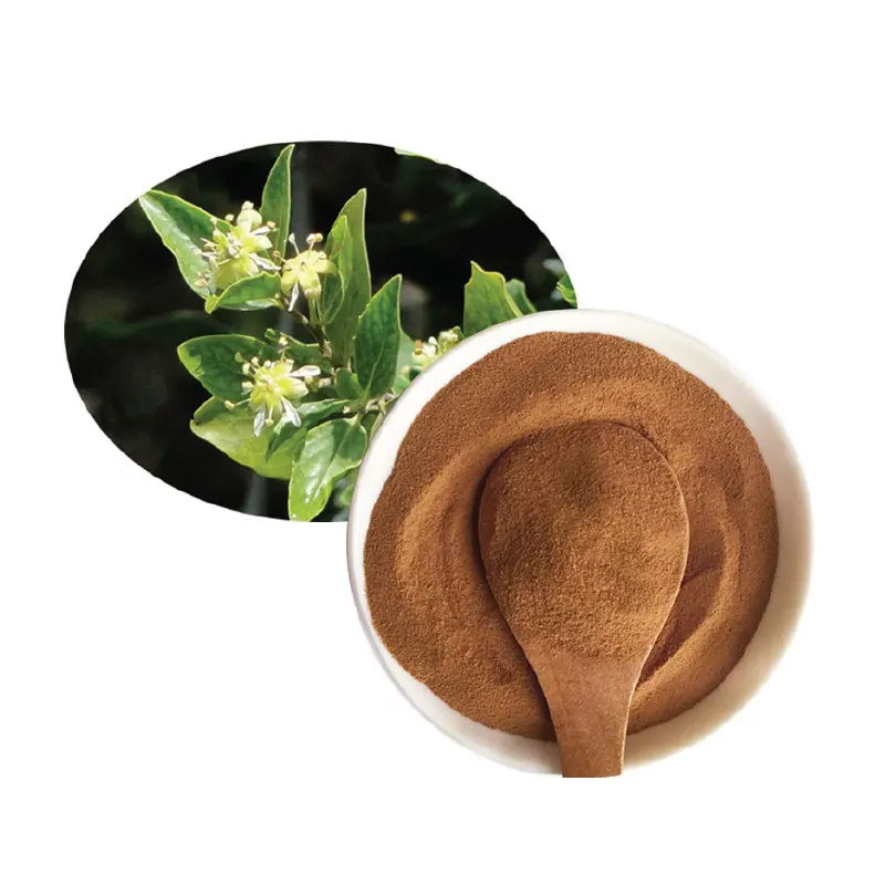 ISO Factory Supply Emulsifier Quillaia Saponaria Extract