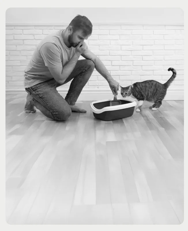 Neakasa M1 Smart Cat Litter Box - Self Cleaning & Odor Control