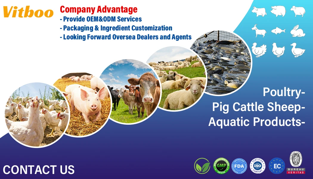 Vitboo Pig Growth Booster - Enhance Swine Feed Additives