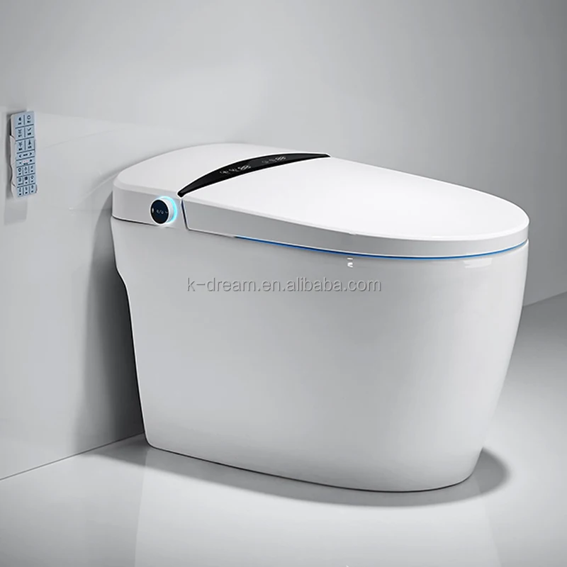 Smart One Piece Toilets - Intelligent, Automatic, and Efficient