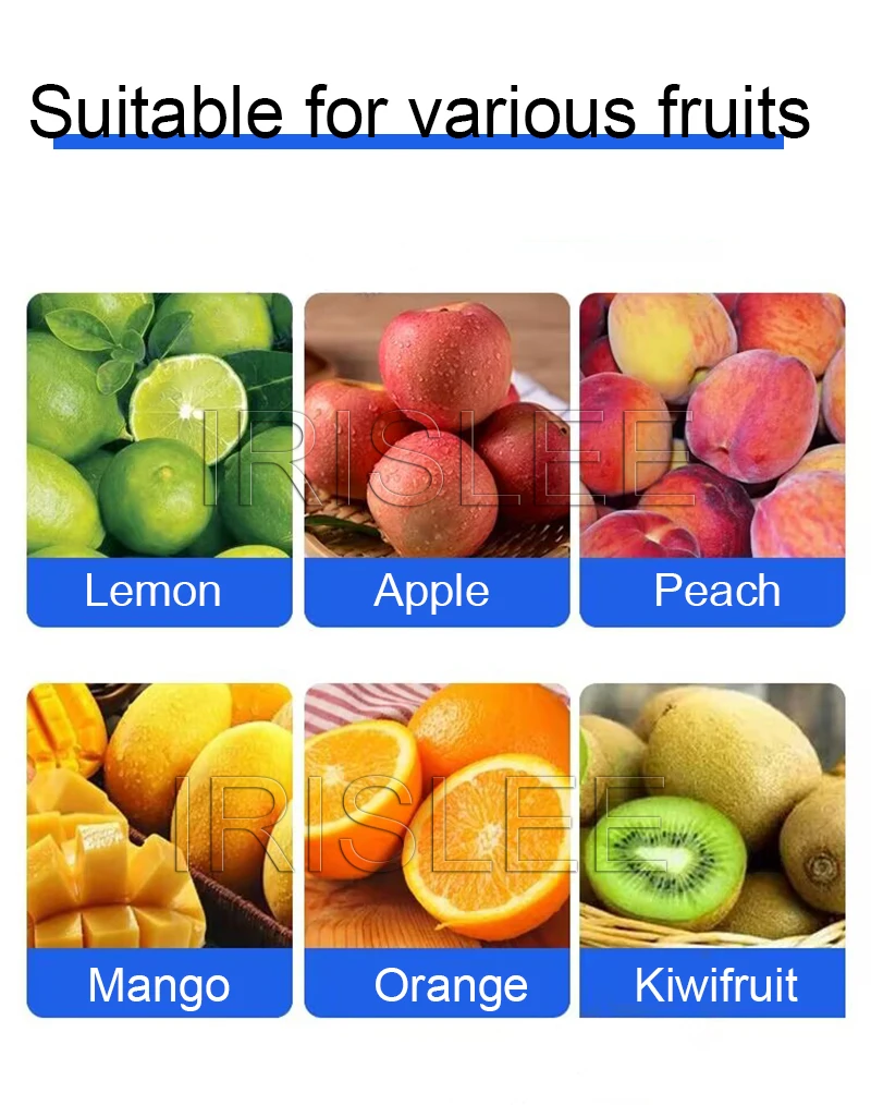 Small Tabletop Automatic Mangoes Apples, Pears, Lemons Electric ...