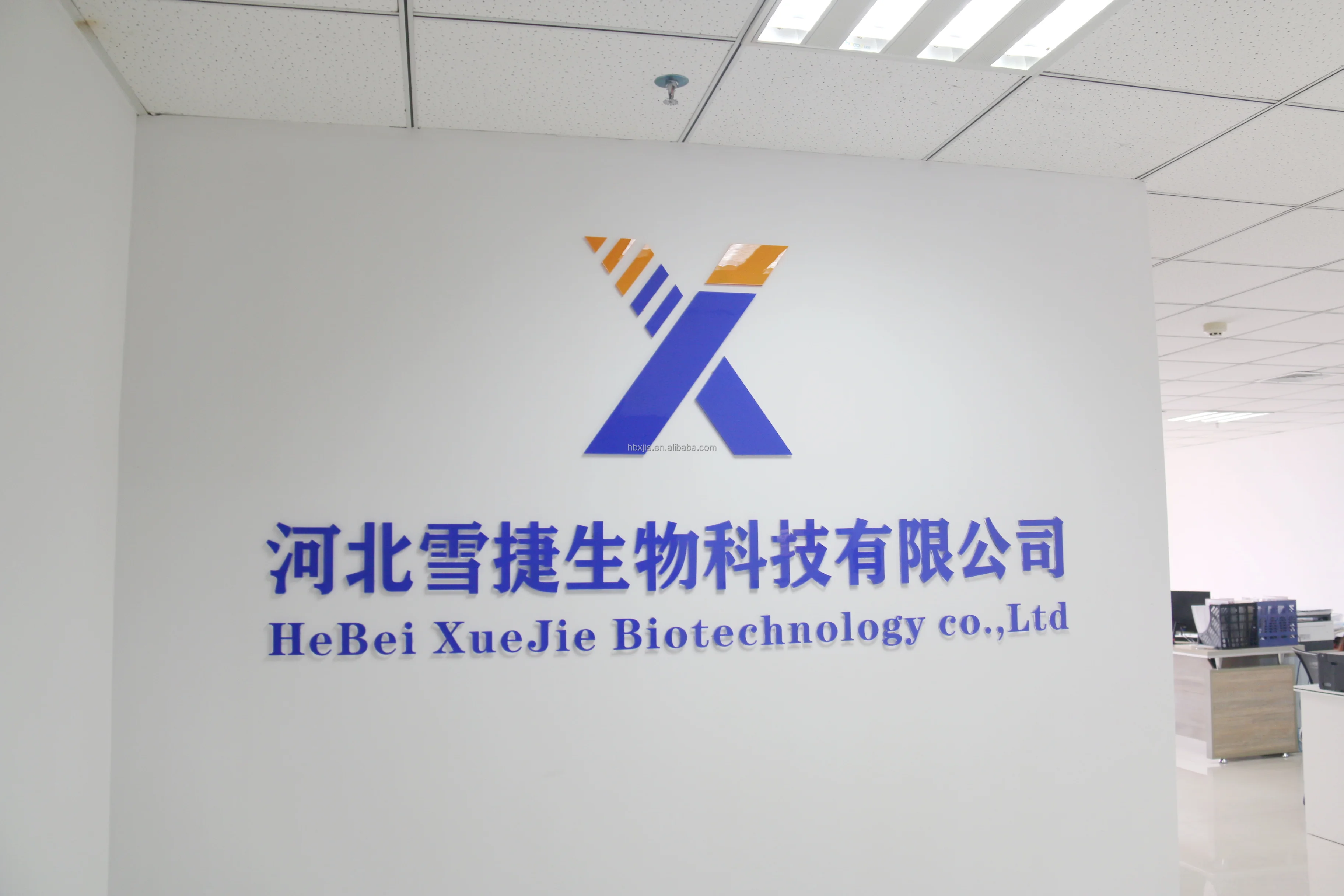High Strength 500L IBC Container for Chemical Storage - Recyclable HDPE ...