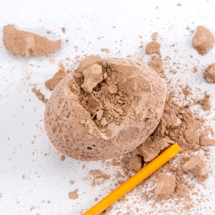 Diy Funny Toy Dig Kit Excavation Dig Archaeology Toys Dinosaur Egg ...