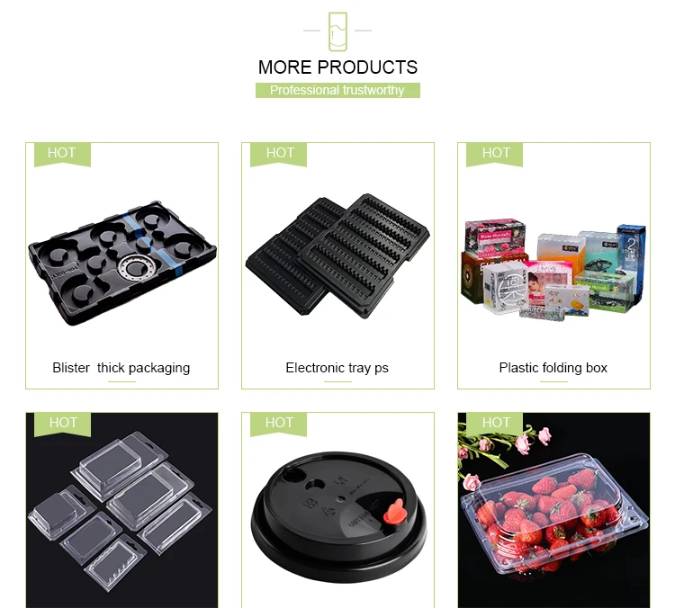 High Quality Take Away Plastic Disposable Pet/pp/pla/pvc Clamshell Food ...