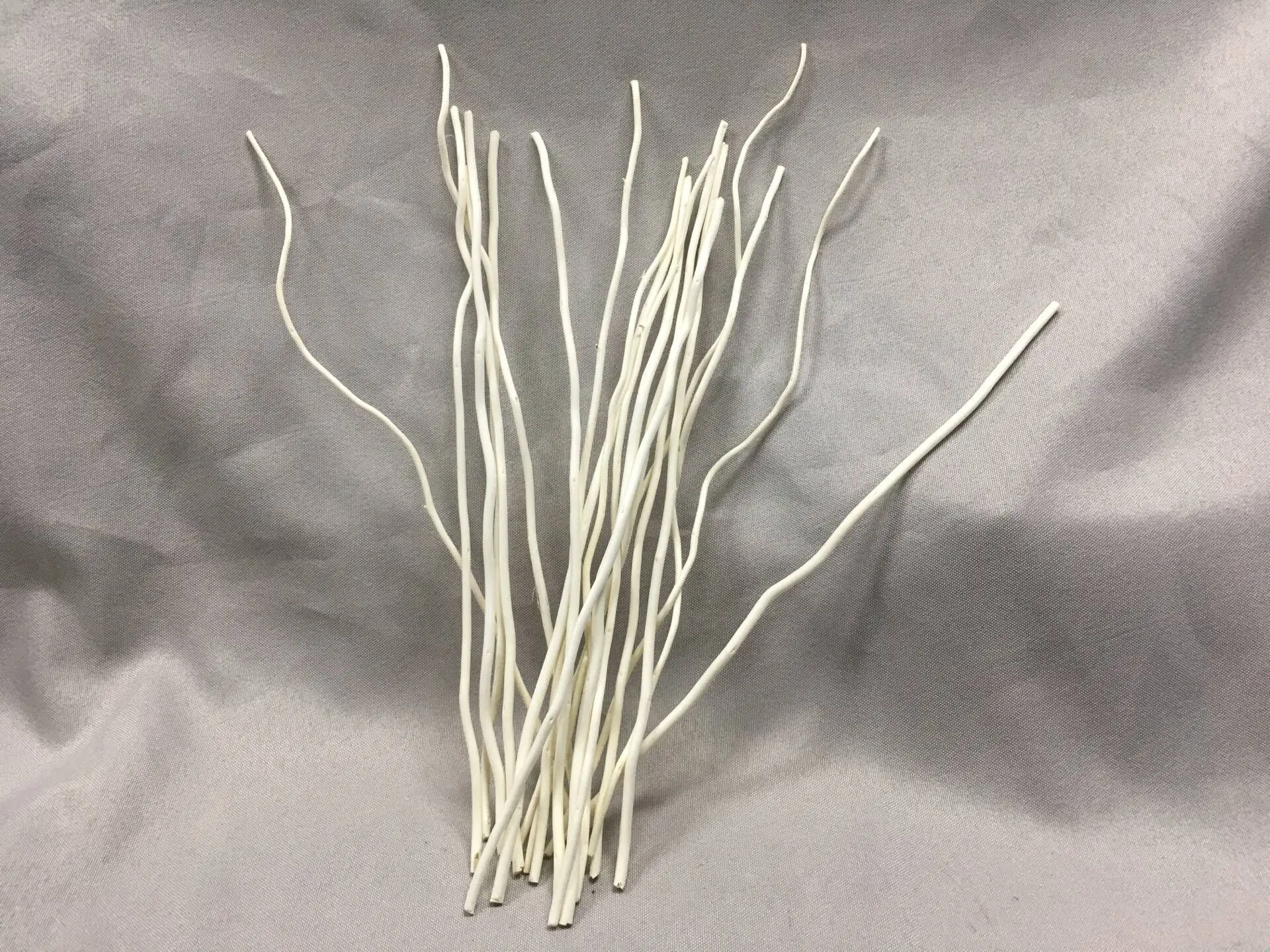 Natura Curly Willow Dried Pampas Branches Dried Curly Willow Branches ...