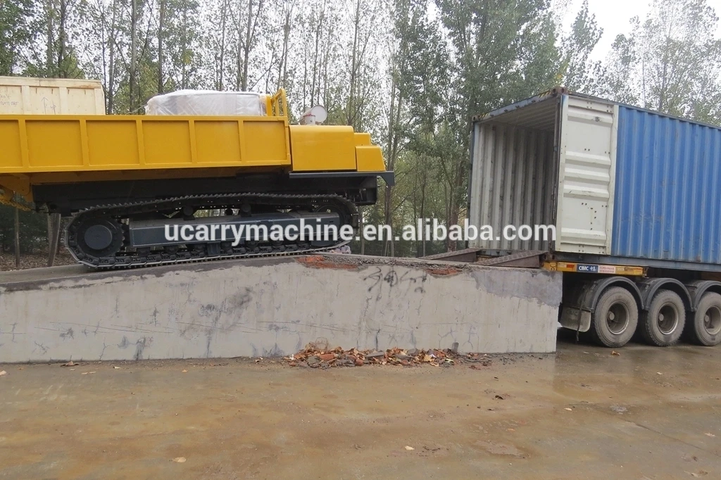 10 Ton Dump Truck for Agriculture, Forestry & Orchard Transport