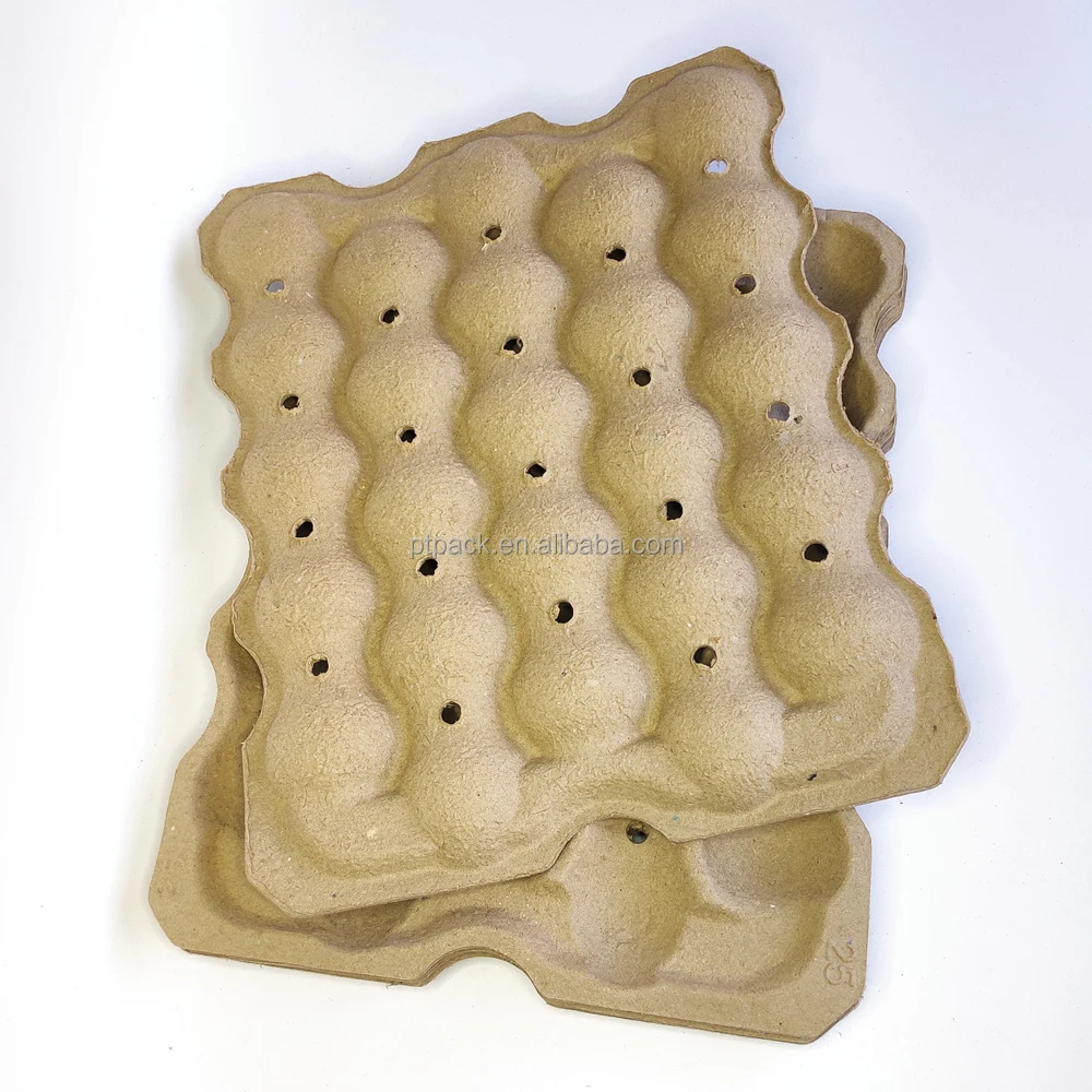 Environmental Molded Pulp Fig Tray For Fruit Shop Apple Paper Molded ...