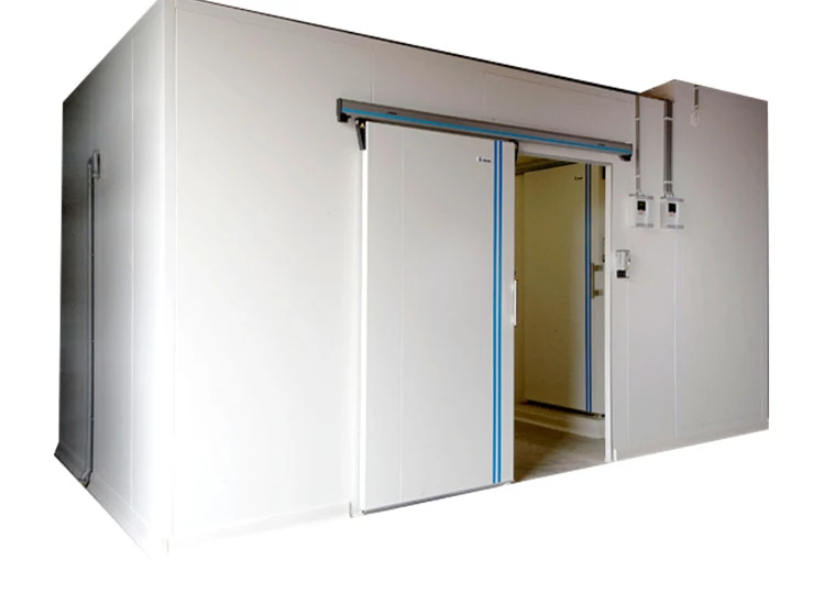 Hugecool Walk in Cold Room Storage - 10 to 100 Ton Capacity