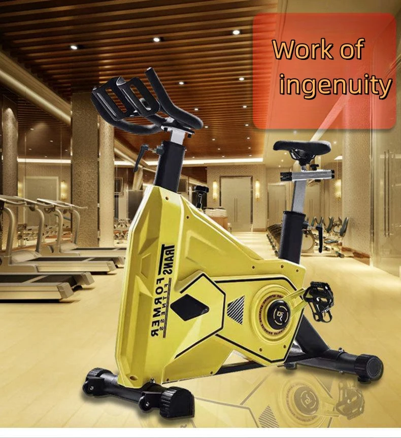 Indoor Cycling Bike Unisex Cardio Trainer With New Design Spin Bike For ...