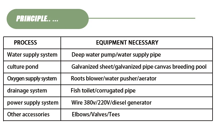 High-density Industrial Fish Farm Recirculating Aquaculture System Fish ...
