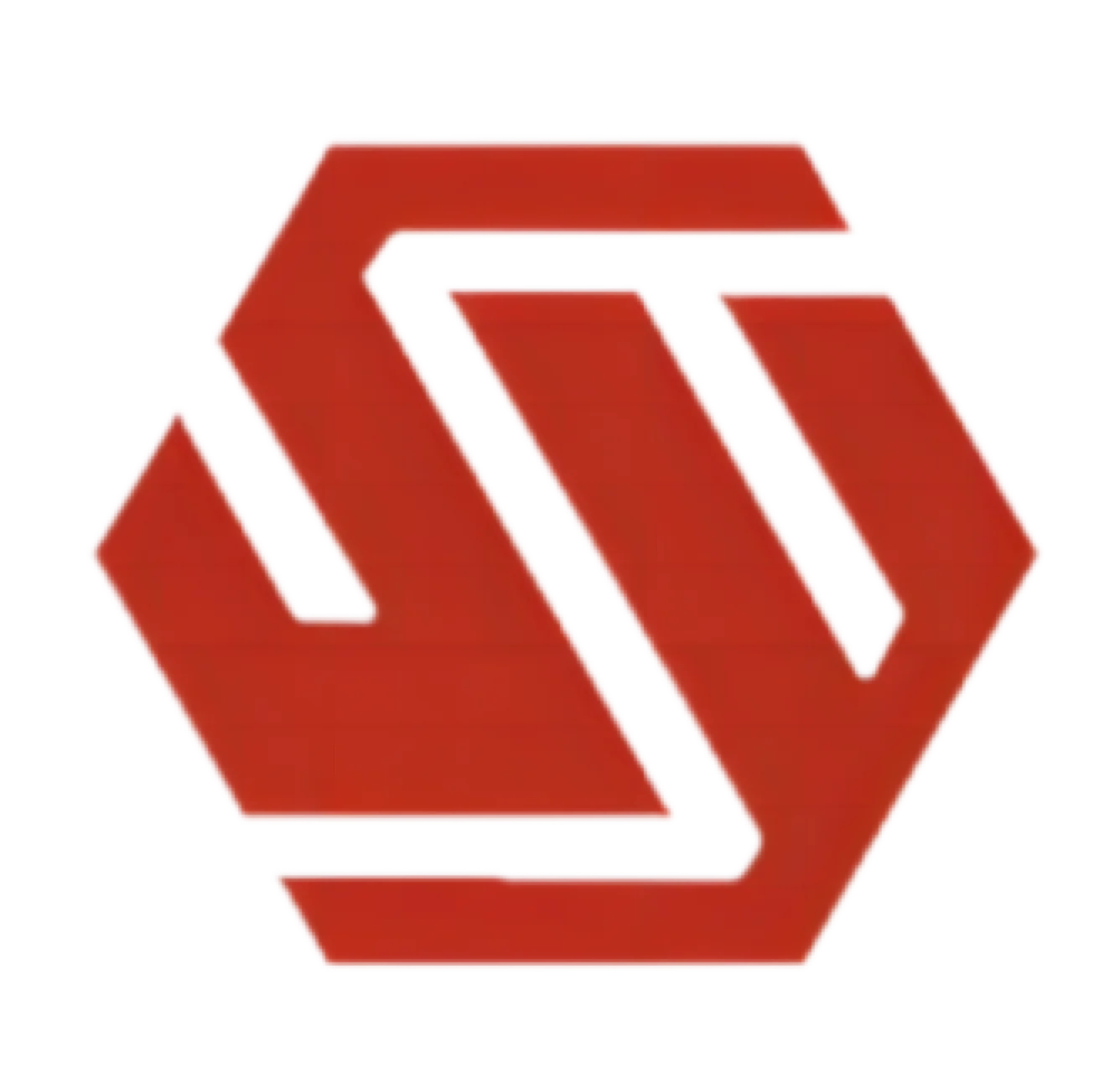 Company Overview - Wenzhou Sunyoung International Trading Co., Ltd.