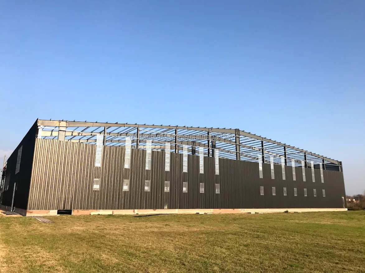 Prefabricated Economical Steel Structure Large Span Warehouse Shed ...