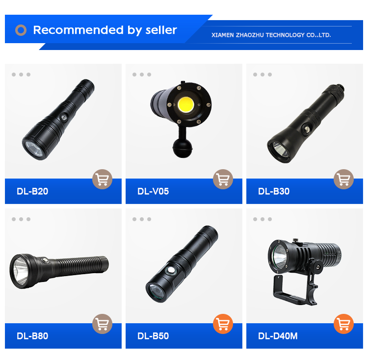 IP68 Waterproof 1000 Lumen LED Diving Light 100M Waterproof Scuba ...