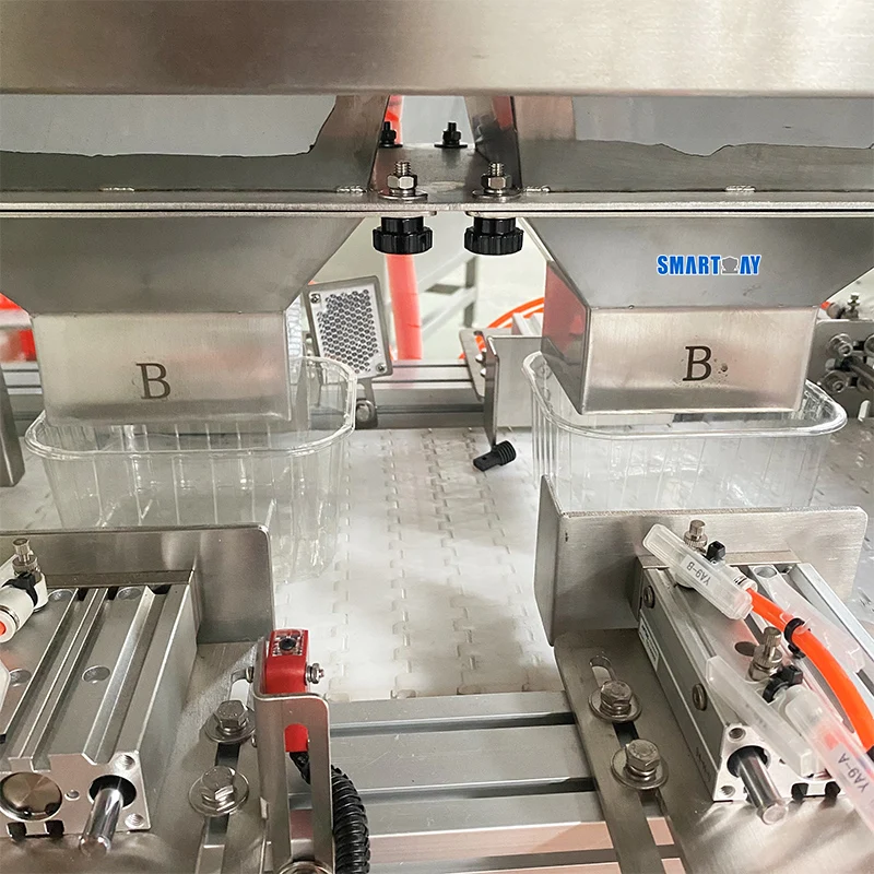 Automatic Tray Denester Machine - Efficient Packing Solutions