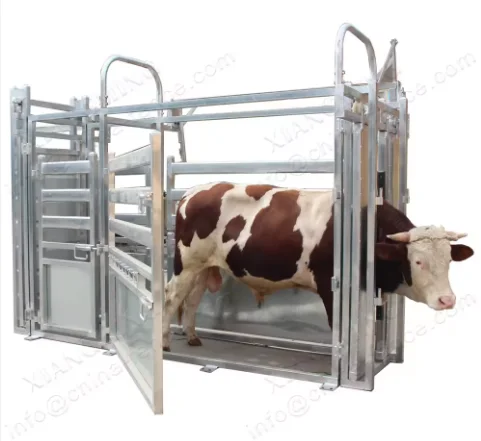 Cattle Panel Vet Squeeze Cattle Crush Cattle Handling Equipment ...