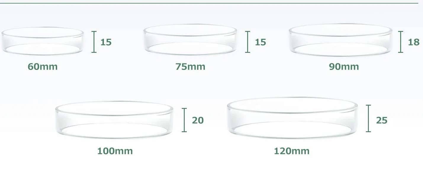 Autoclavable Borosilicate Glass Petri Dishes - 90mm, 100mm, 120mm