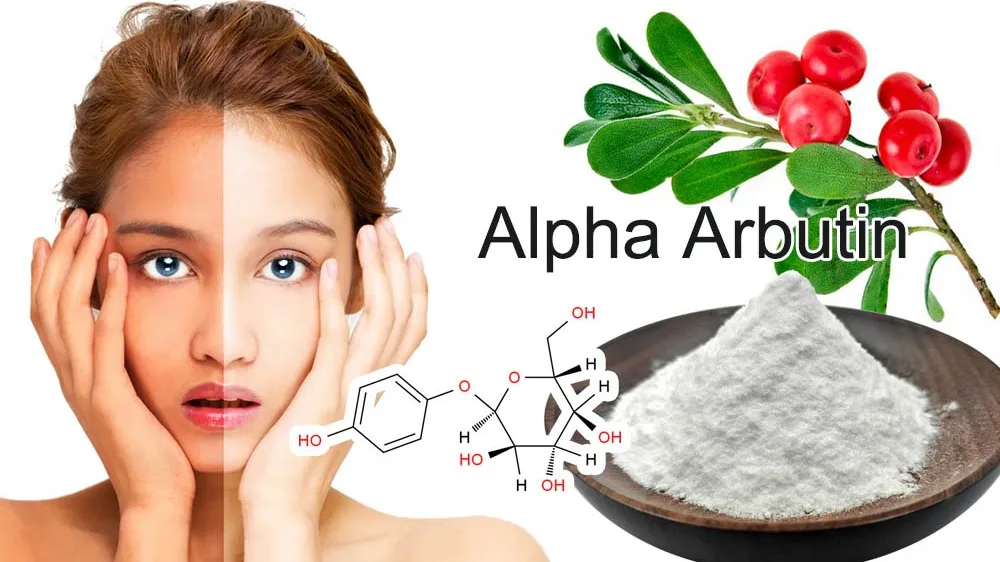 Skin Whitening Arbutin Plant Extract Alpha-arbutin 100% Pure Alpha ...