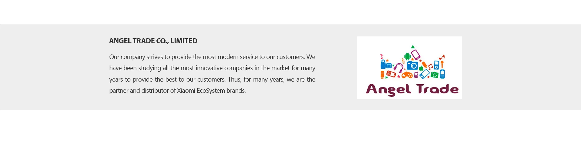 Company Overview - ANGEL TRADE CO., LIMITED