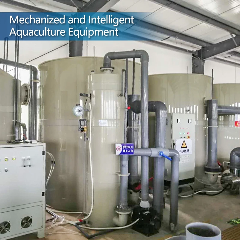 Factory Customized Fish and Shrimp and a Crab RAS Tilapia Farming ...