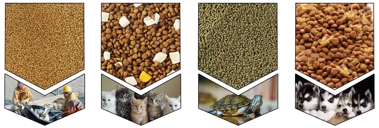 Small Screw Conveyor Trout Tilapia Fish Feed Extruded Feed Premix ...