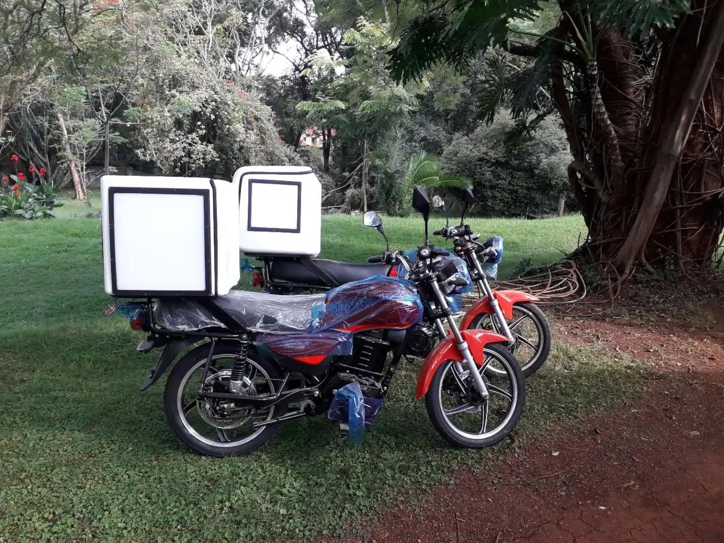 Electric Tricycle with Rear Box Motorcycle Helmet Accessories Fast Food ...