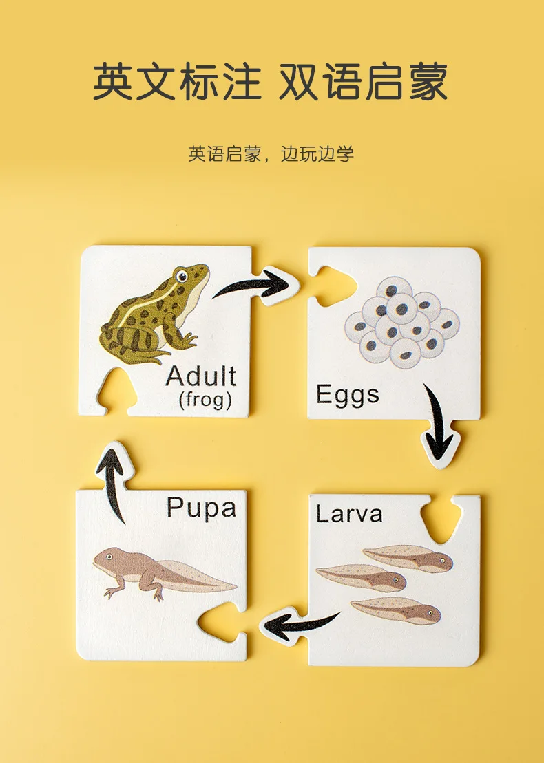 Wooden Animals Growth Cycle Puzzle Montessori Materials Homeschool ...