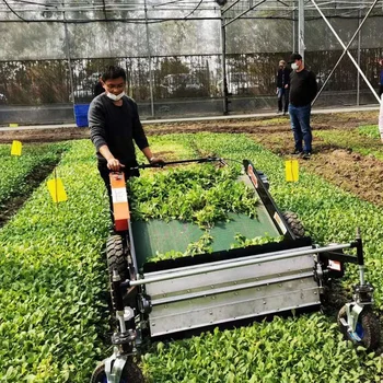 Convolvulus Harvester,Spinach Harvester And Leaf Lettuce Harvest ...