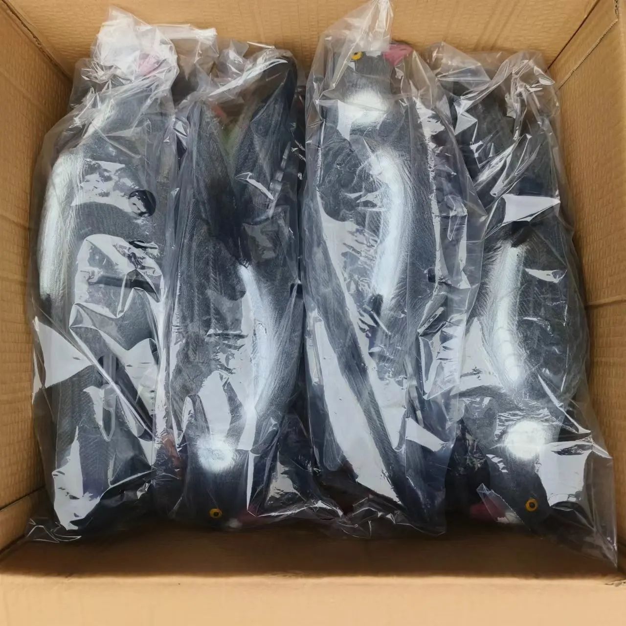Outdoor Sharp Long Billed Bird Simulation Bird Plastic Crafts Hunting ...