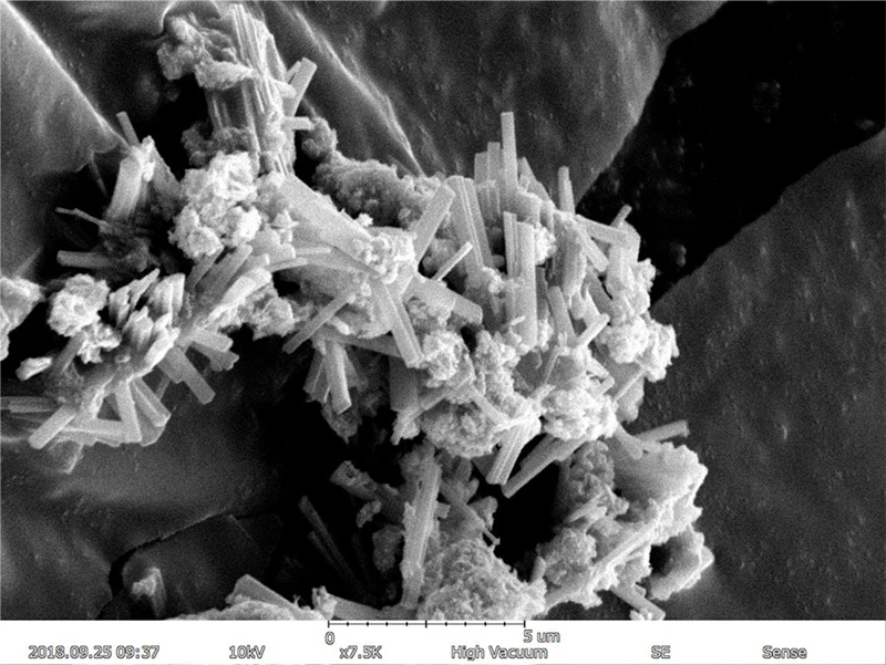 AELAB Benchtop SEM: Precision Scanning Electron Microscope with 1nm ...