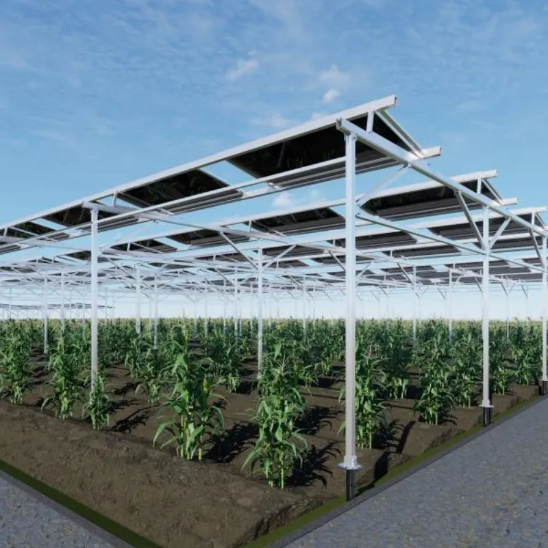 Rice Field Pv Panel Mounting Brackets For Solar Energy System - Buy ...