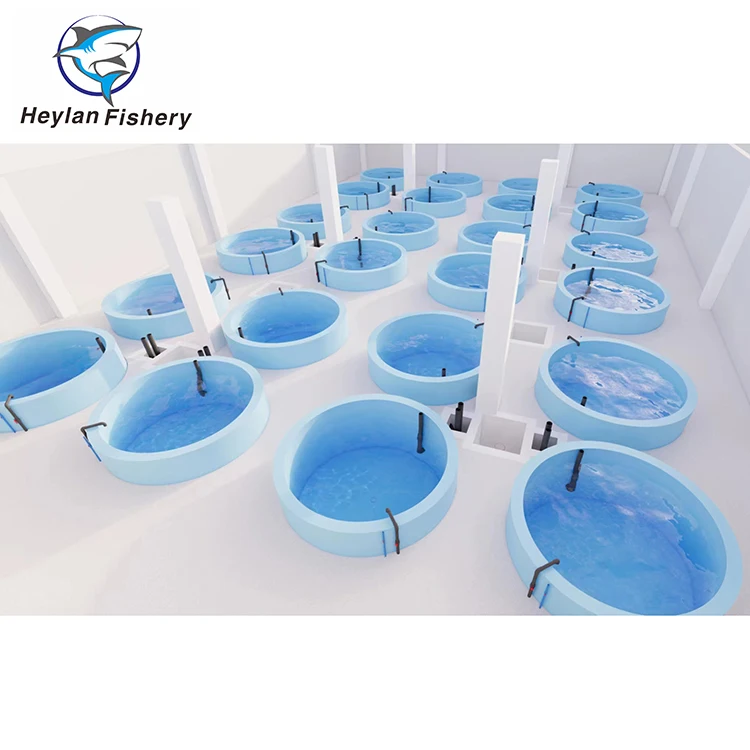 Customized Ras Shrimp Farming Aquaculture Ras Systems Recirculating ...