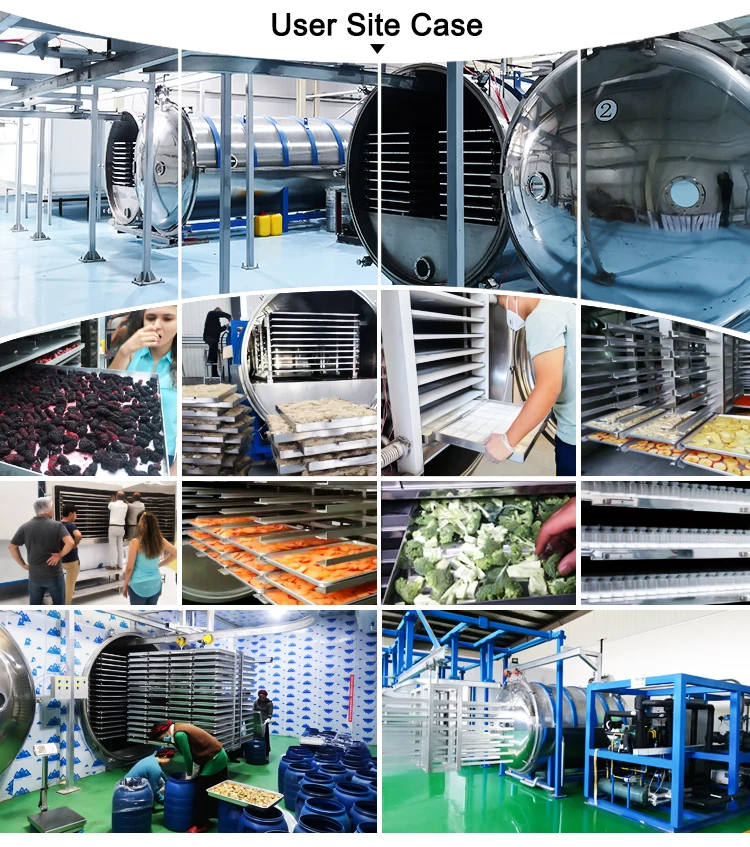 Gzl Series Vacuum Freeze Dry Machine With High Efficient Freeze Dryer ...