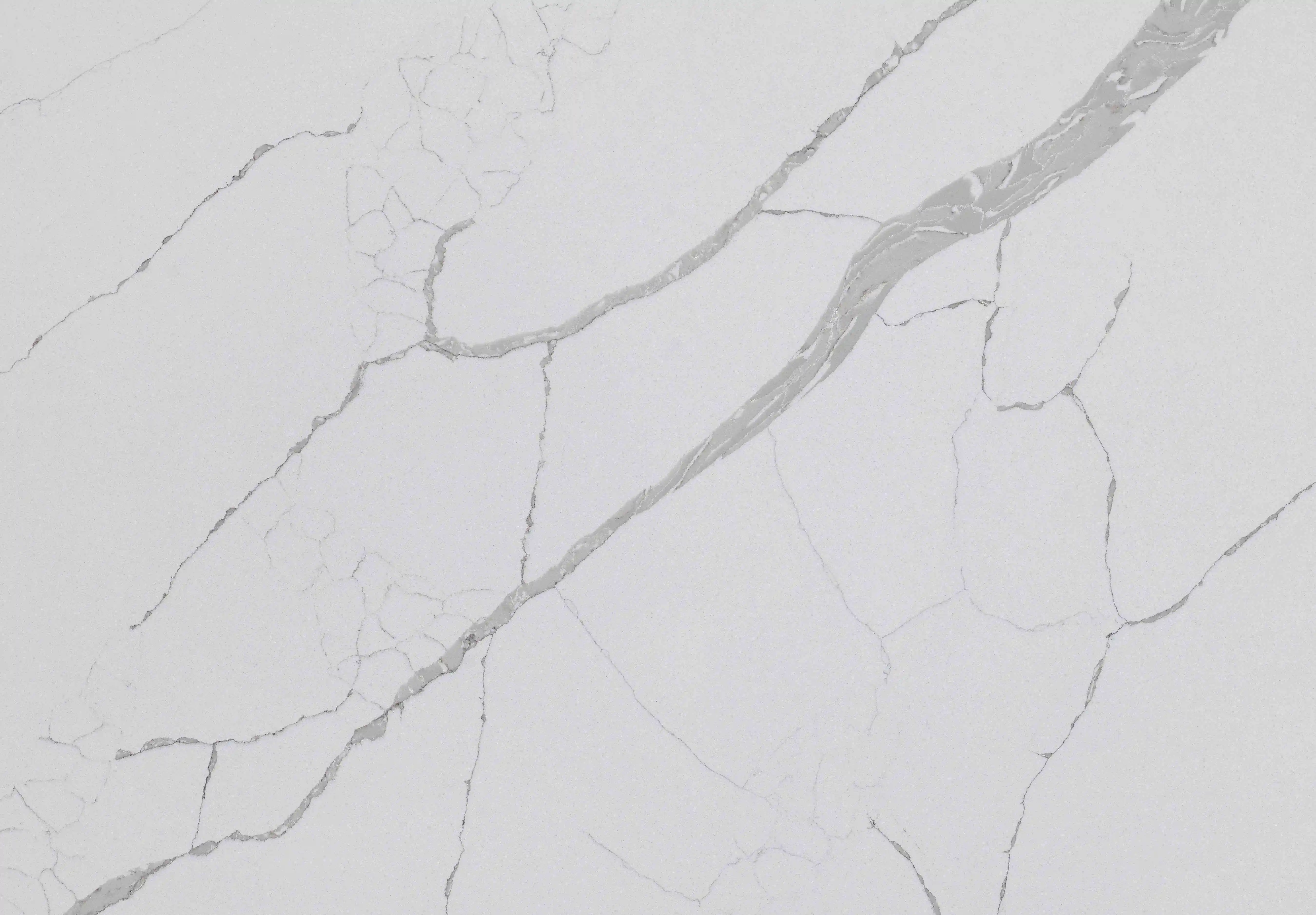 Laza Calacatta Tree - Premium Quartz for Countertops