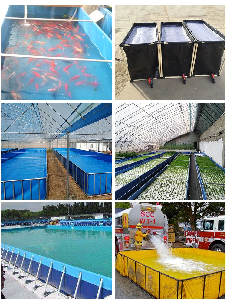 Home Fish Farming Tank Commercial Fish Breeding Tanks Tilapia Tanks ...