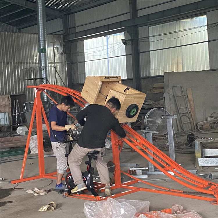 Theme Park Sliding Dragon Train Kids Mini Pedal Roller Coasters For ...